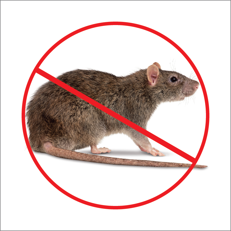 Free your home and garden with Houseit from pest: An Ultimate Solution